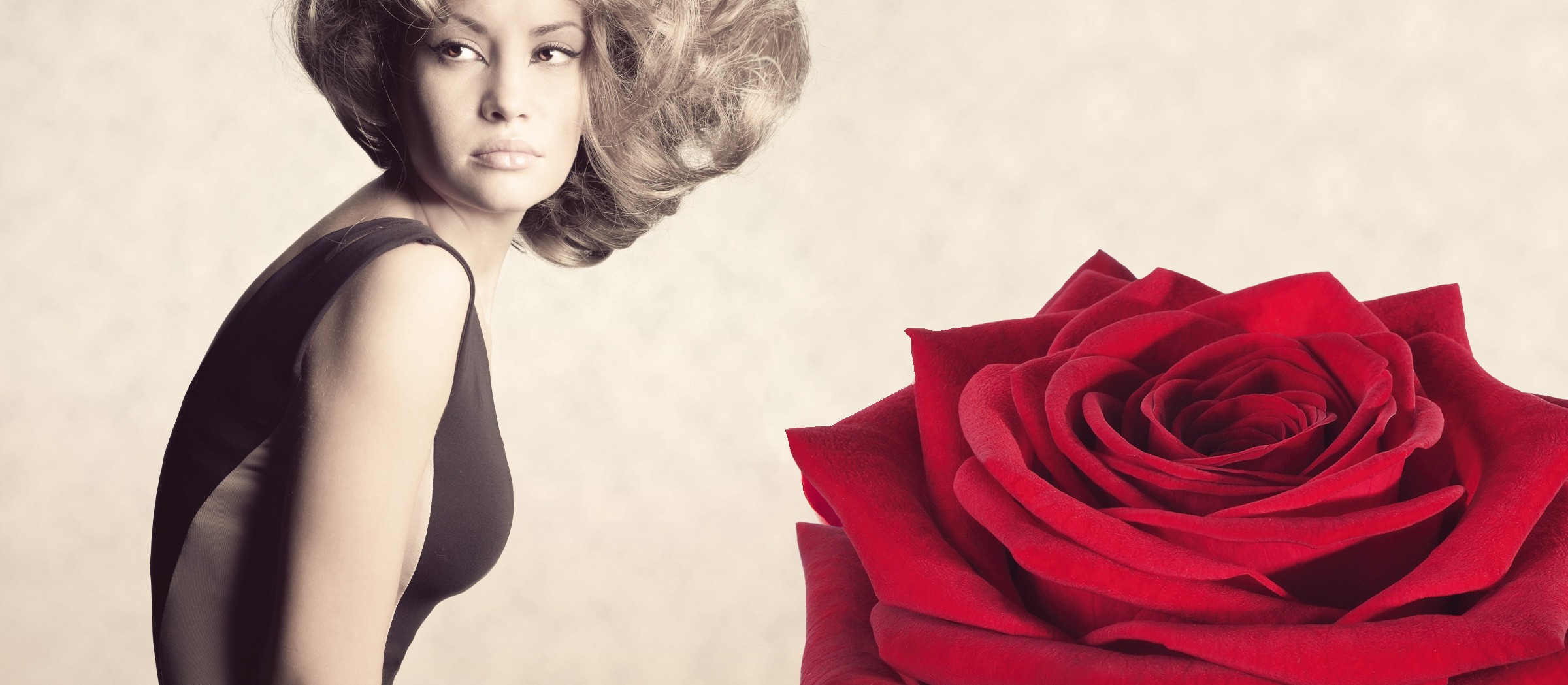 Red Naomi - Everything about Red Naomi roses, and where to buy them.